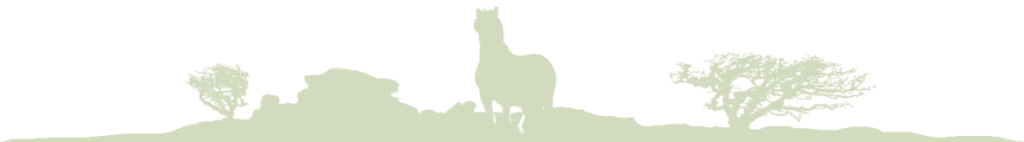 Dartmoor’s Famous Tors and the Best Times to Visit - Langstone Manor